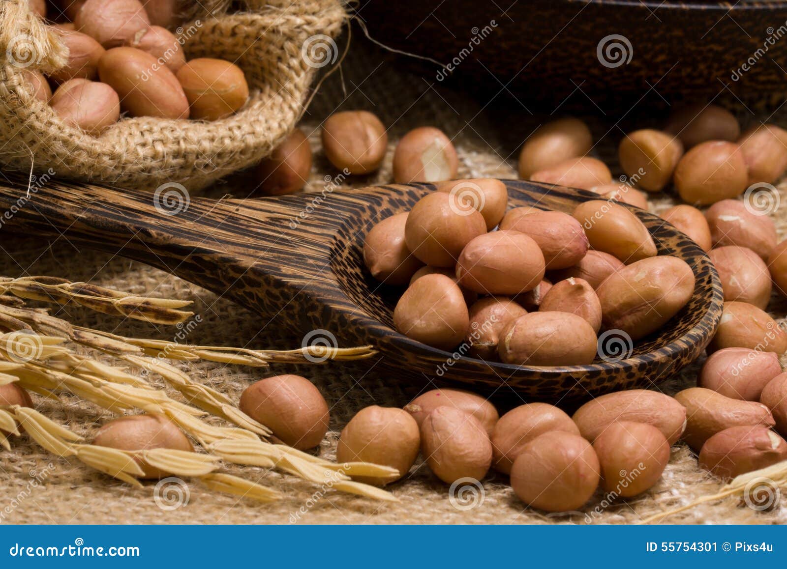 No Shell Dry Peanut in Wooden Spoon and Sack Stock Image - Image of ...