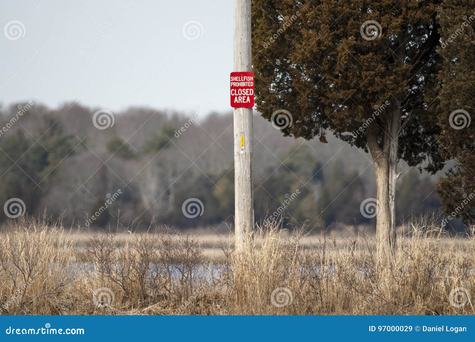 No shellfishing sign stock image. Image of outdoors, warning - 97000029
