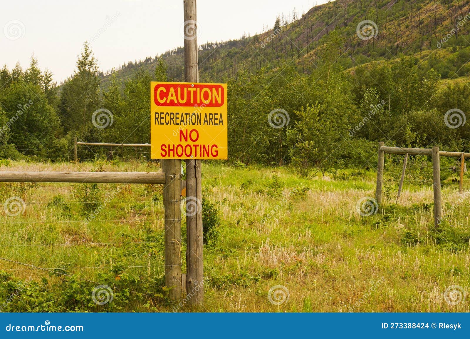 No Shooting Sign stock photo. Image of caution, posts - 273388424