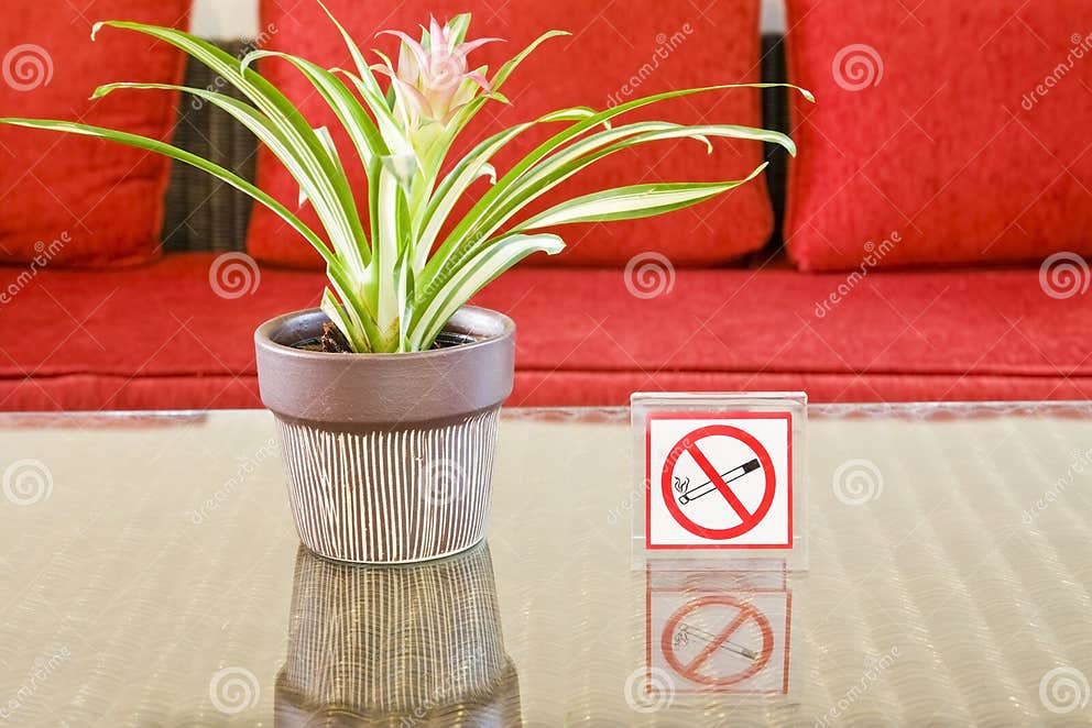 No smoking sign stock photo. Image of area, noxious, smoke - 18639476