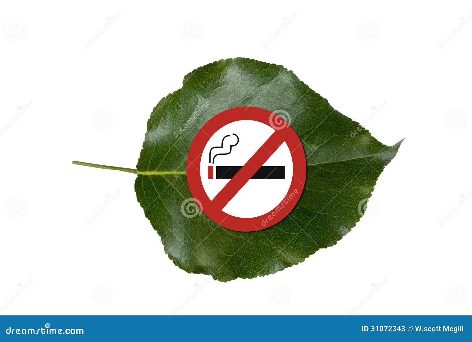No Smoking Sign on Green Leaf Stock Image - Image of ecological, white ...