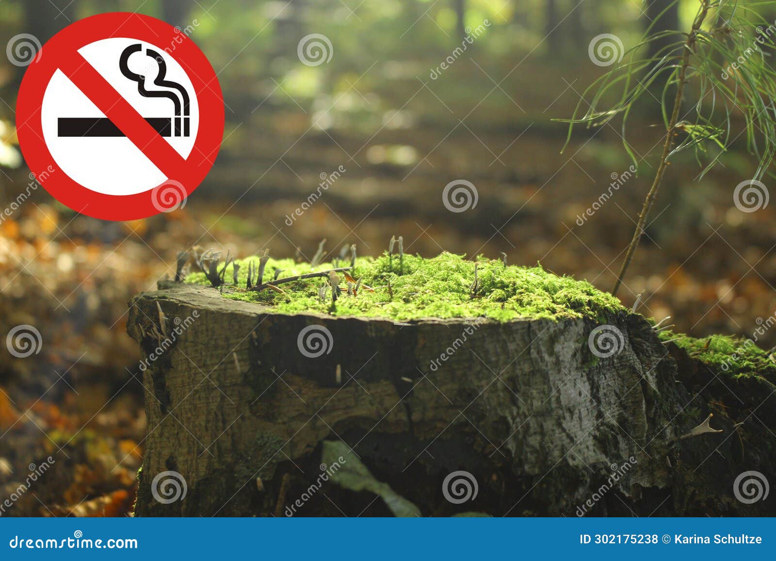 No Smoking Sign Outdoor in a Forest Stock Photo - Image of unhealthy ...