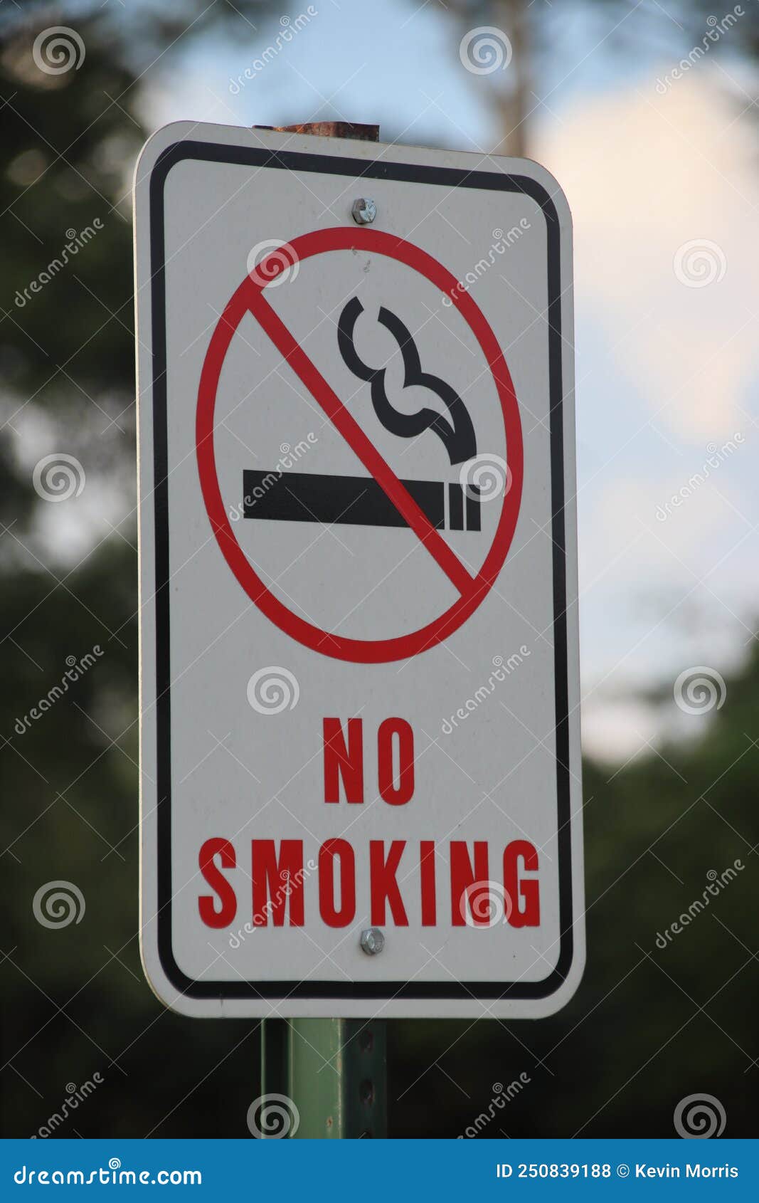 Rectangle Smoking Sign on the Outside Stock Photo - Image of park ...