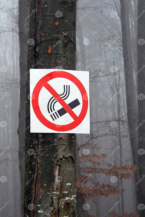 No Smoking Sign on a Tree in Forest Stock Image - Image of alarm ...
