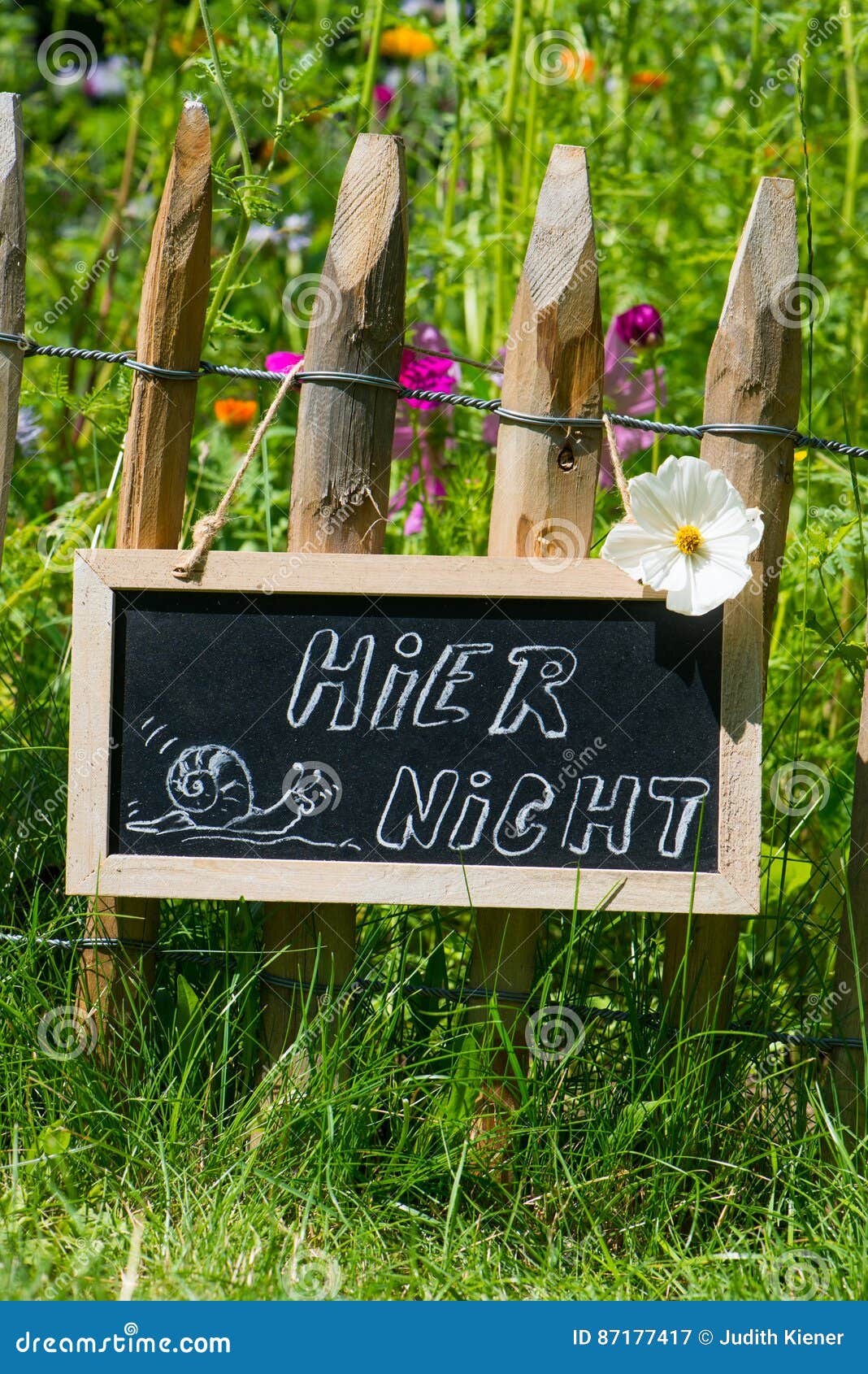 No snails here stock image. Image of sunshine, sign, outdoor - 87177417