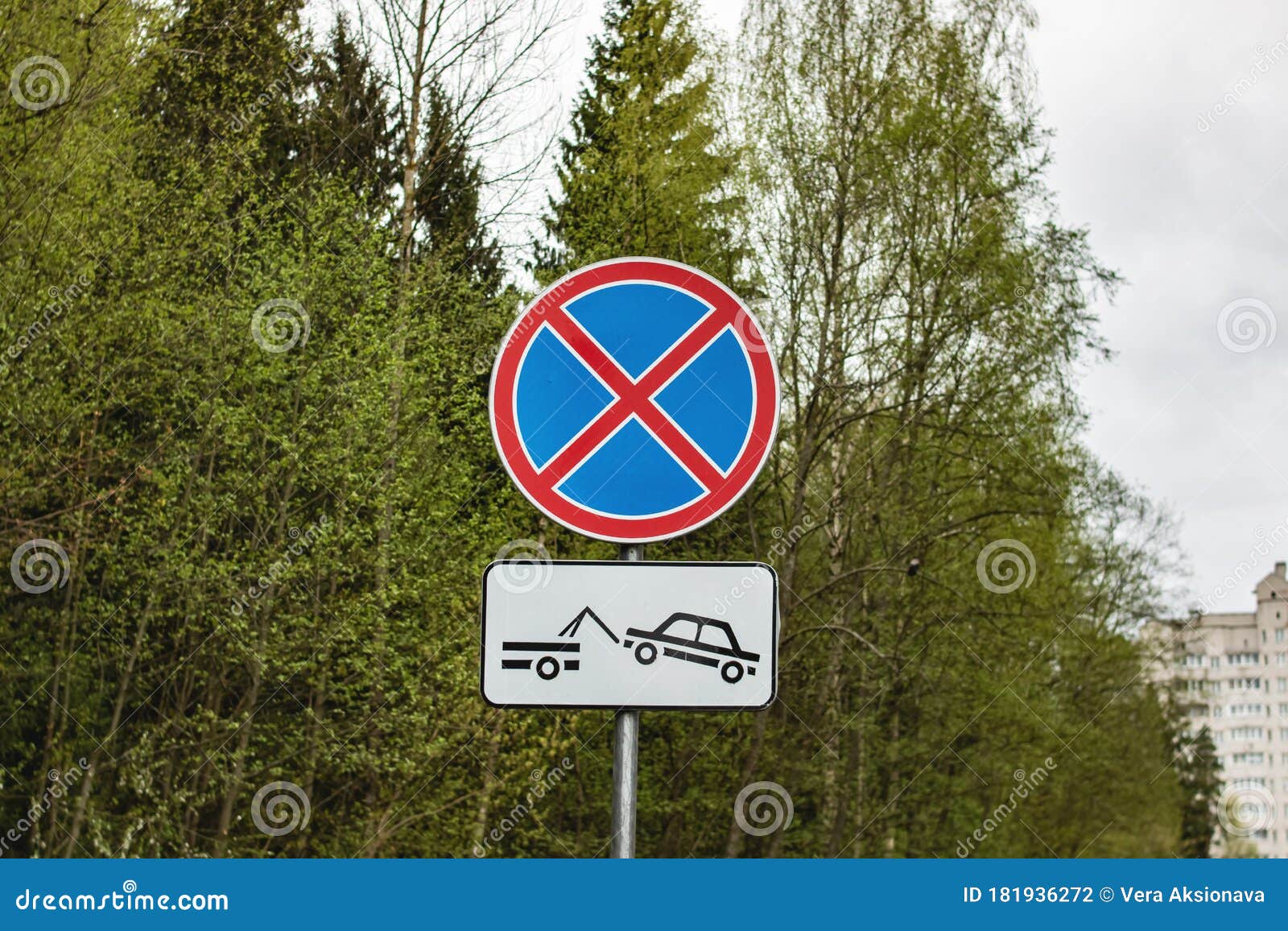 No Stop Road Sign on Green Trees Background Stock Photo - Image of ...