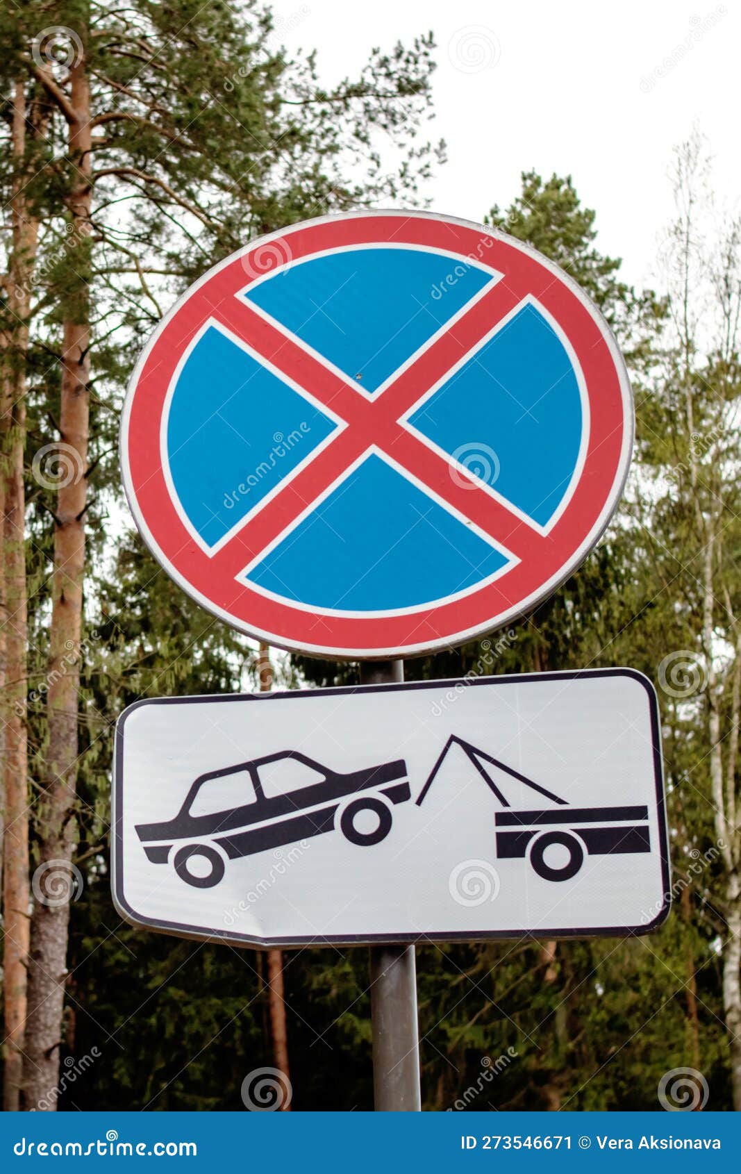 No Stop Road Sign on Green Trees Background Stock Image - Image of stop ...