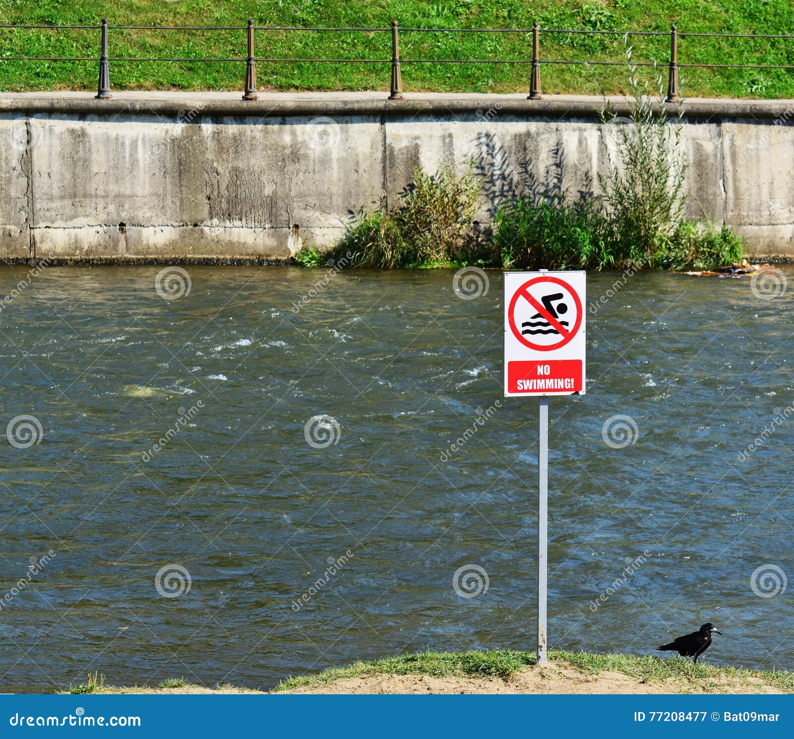 No Swimming Warning Sign on a River Bank Stock Image - Image of holiday ...