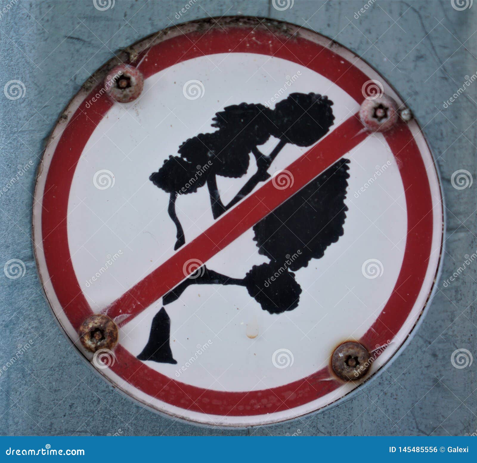 No tree chopping sign stock photo. Image of botany, lumber - 145485556