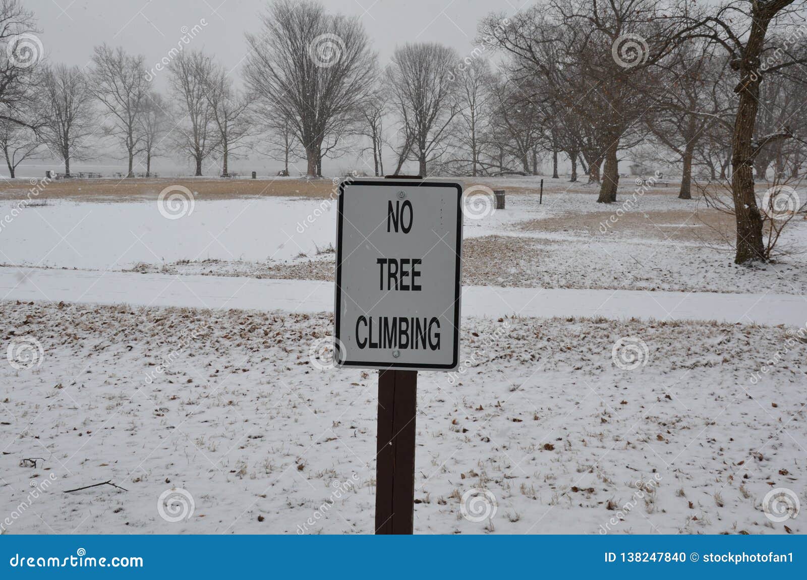 No Tree Climbing Sign with Snow and Ice Stock Photo - Image of weather ...