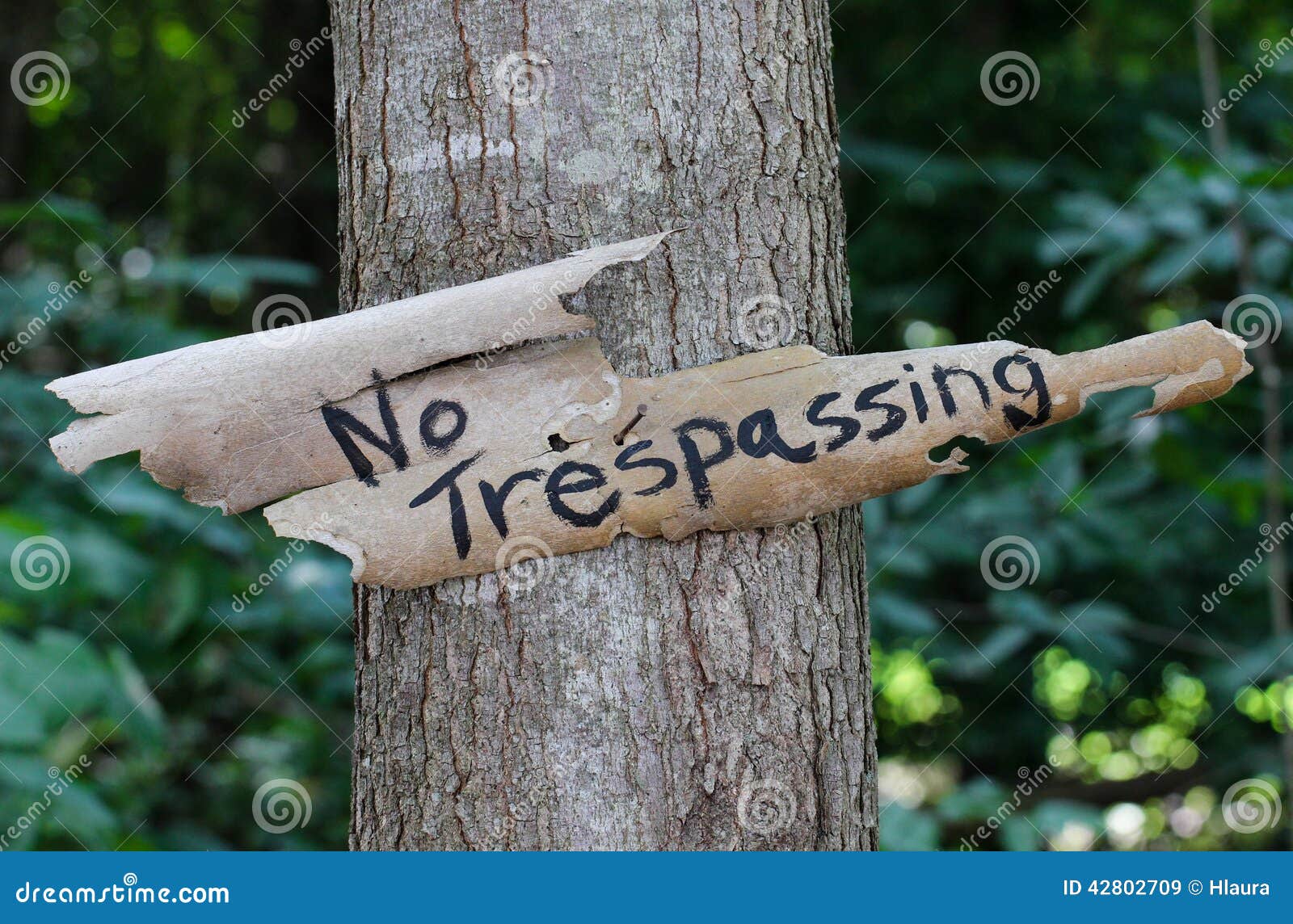 No Trespassing Sign Hanging on Tree in Forest Stock Image - Image of ...