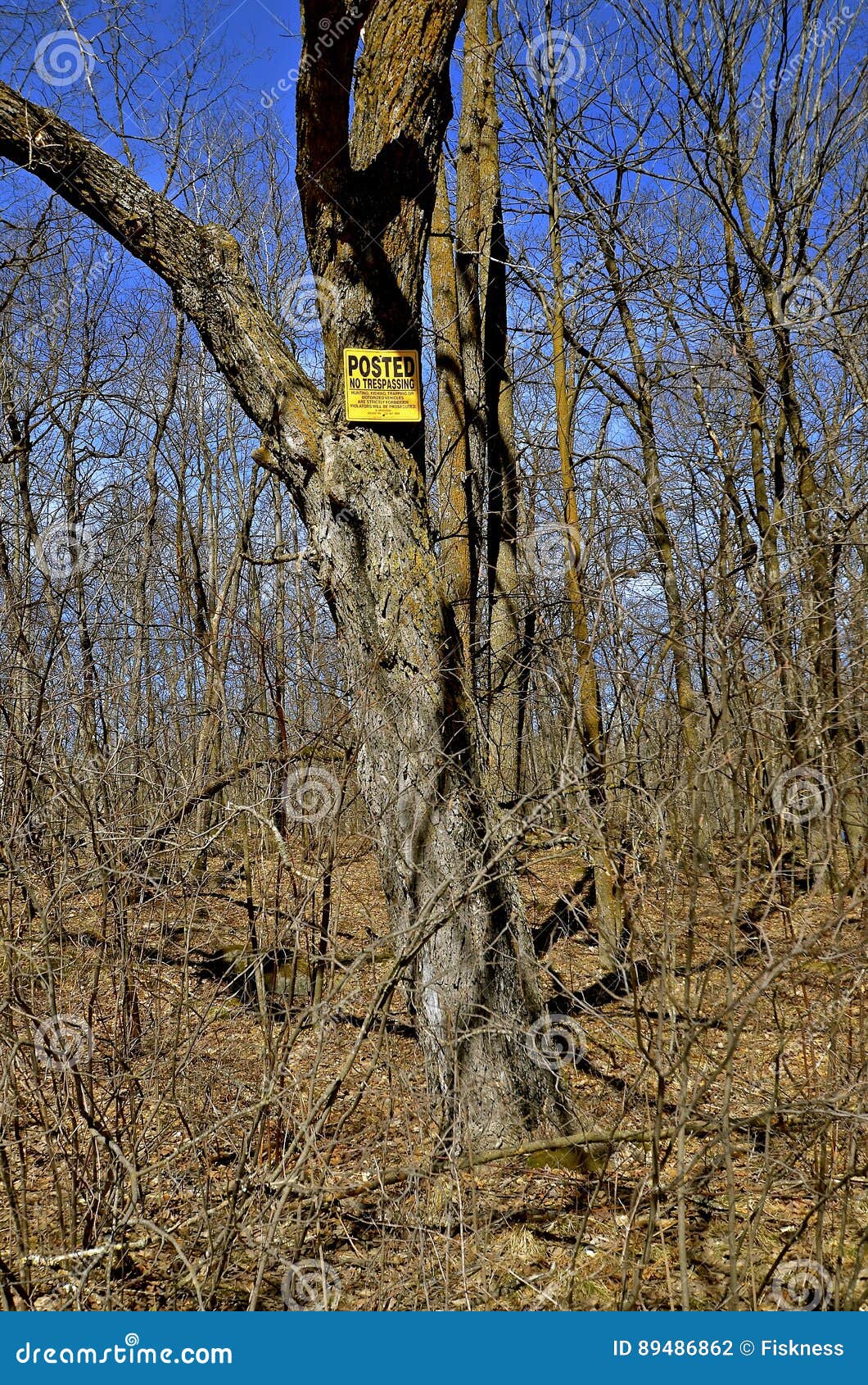 NO TRESPASSING sign stock photo. Image of strictly, posted - 89486862