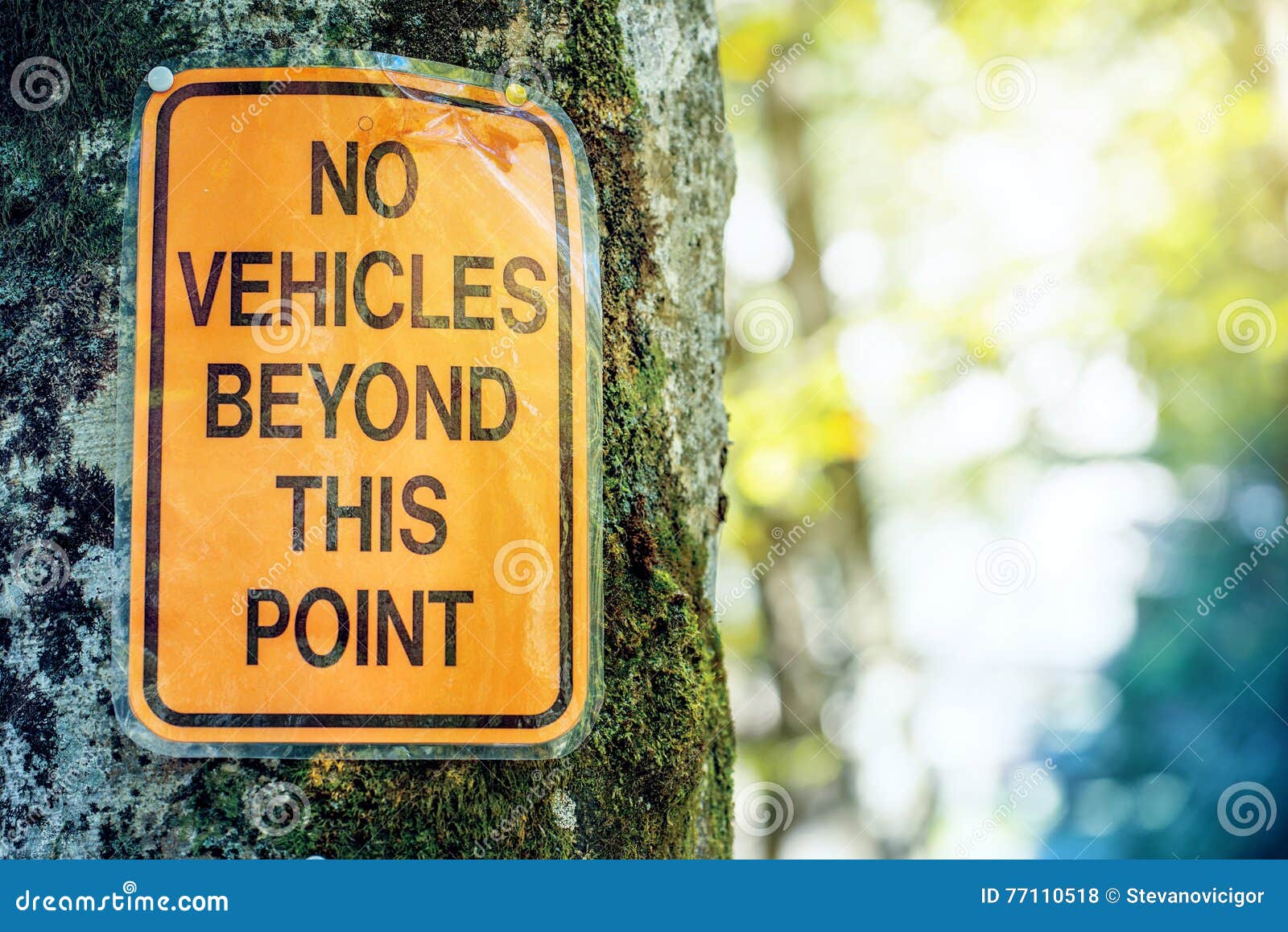 No Vehicles Beyond this Point Sign Stock Photo - Image of green, forest ...