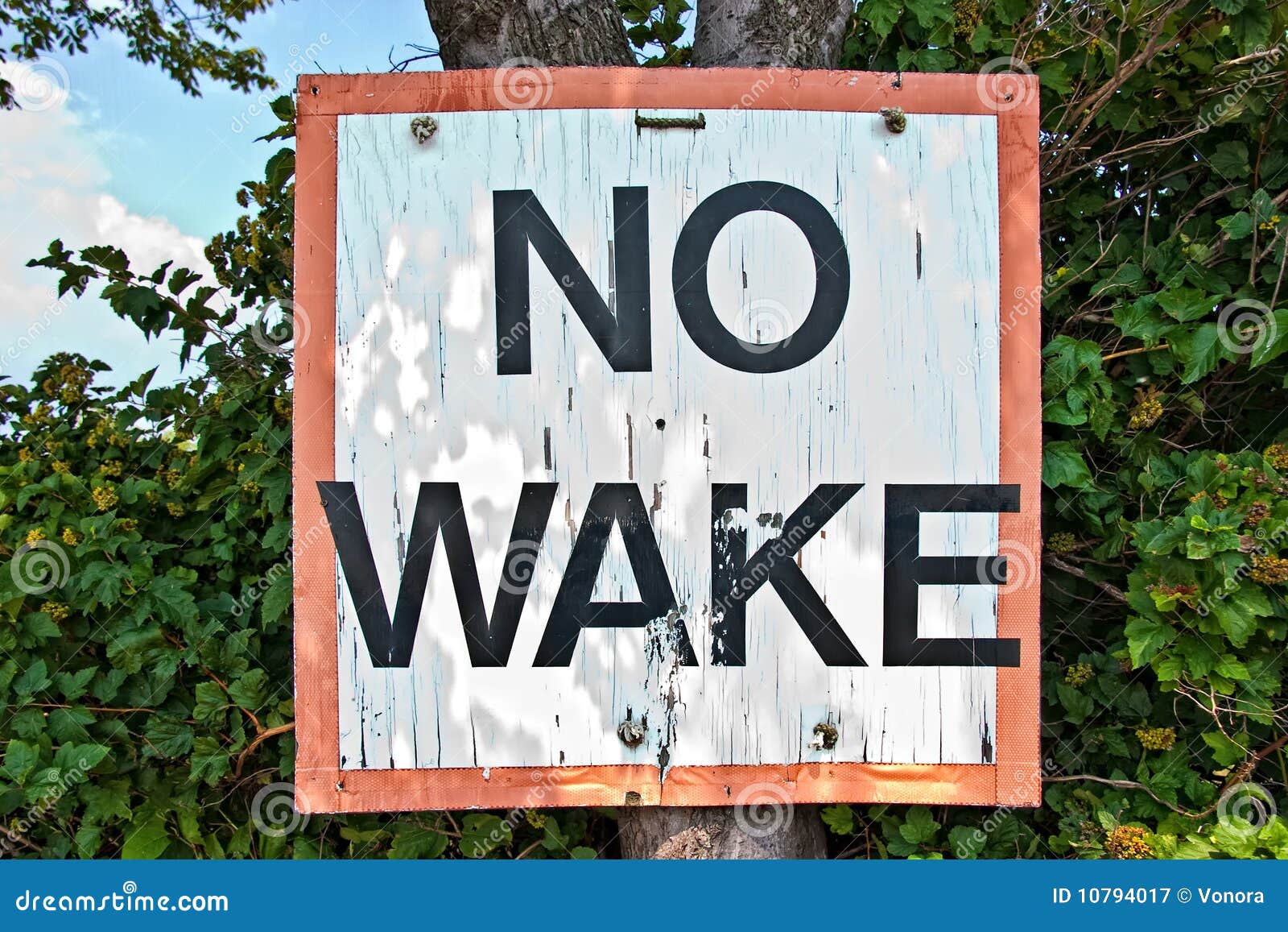 No Wake stock image. Image of leaves, weathered, tree - 10794017