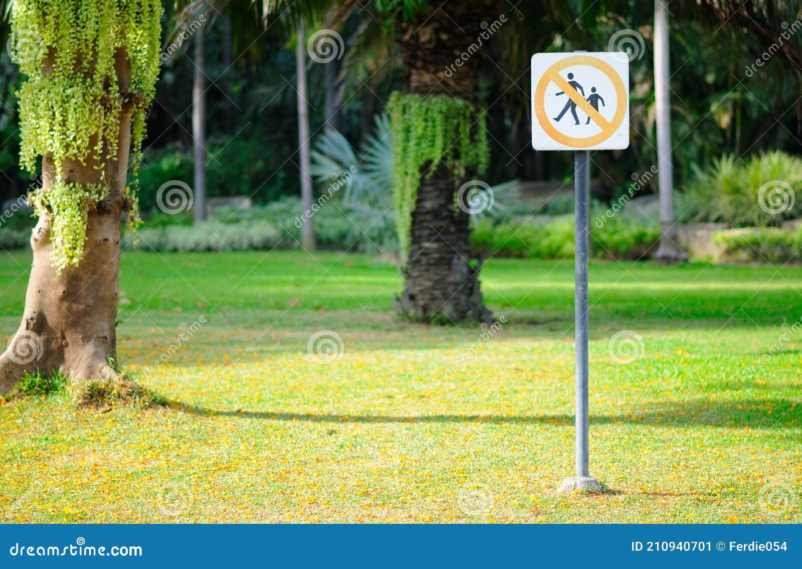 No Walking Sign in a Park stock image. Image of leaves - 210940701