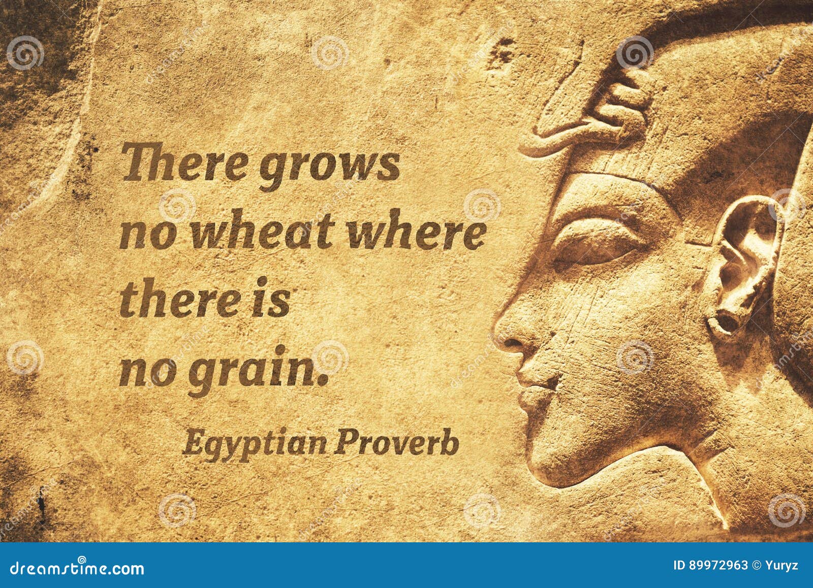 No wheat EP stock image. Image of surface, seeding, proverb - 89972963