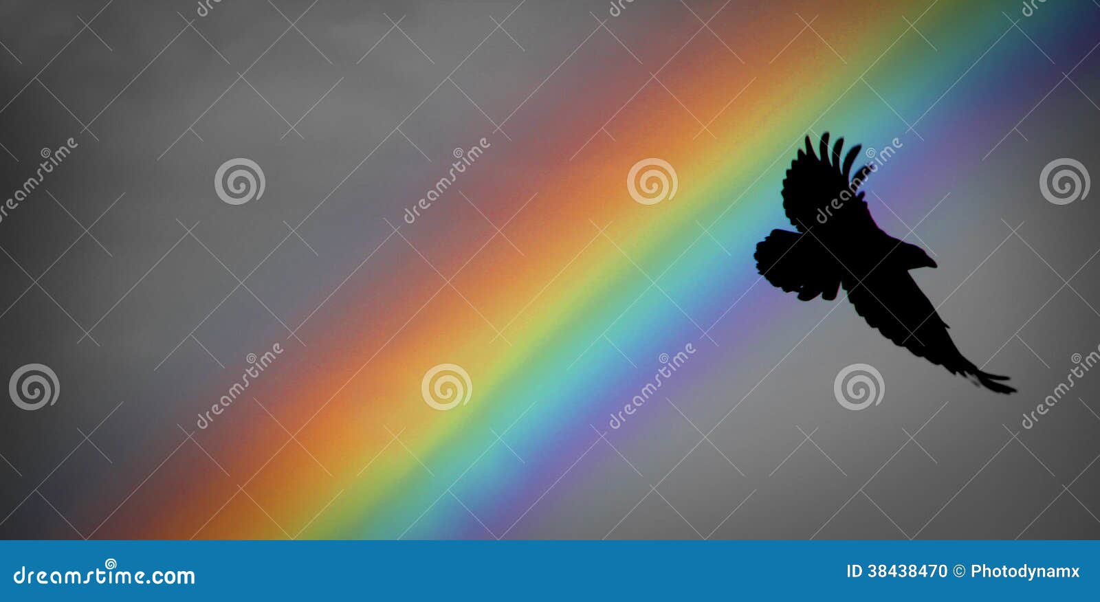 Noah rainbow and raven stock photo. Image of flying, nightmare - 38438470