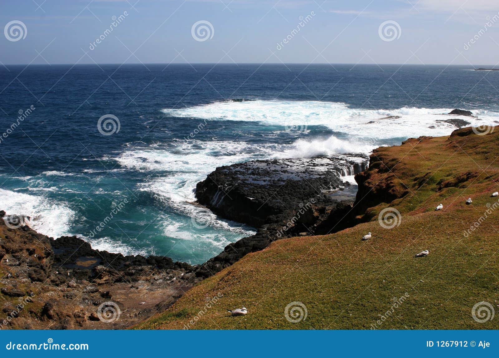 Nobbies and Seal Rocks stock photo. Image of wave, cliff - 1267912