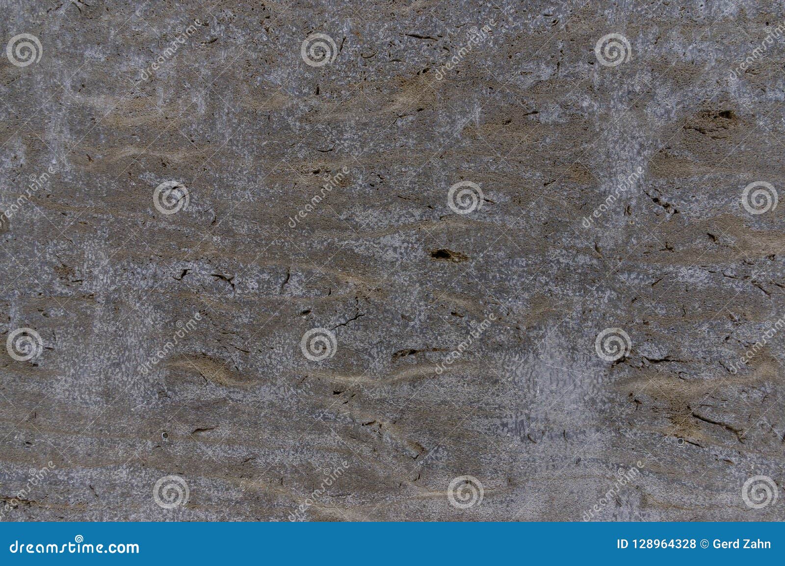 Noble Natural Stone Travertine Shell Limestone As Wall Cladding Stock ...