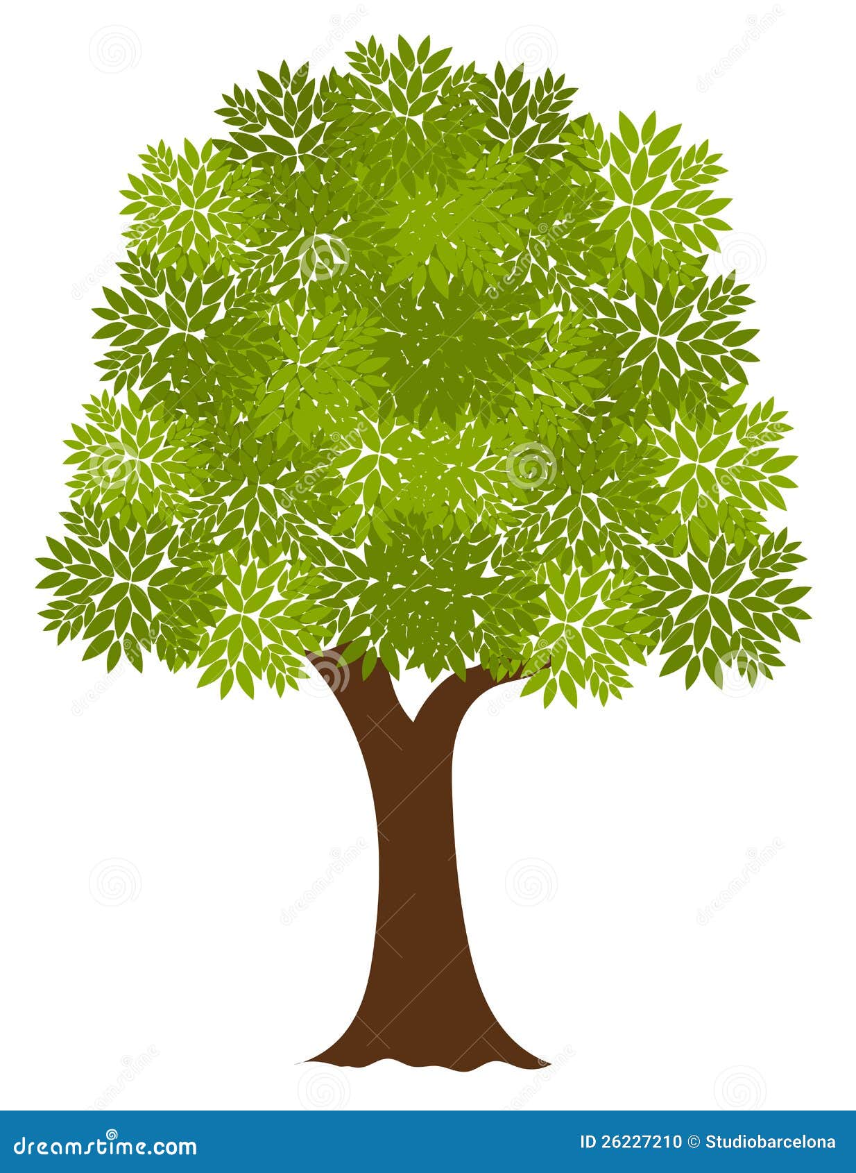 Noble tree stock vector. Illustration of clip, biology - 26227210
