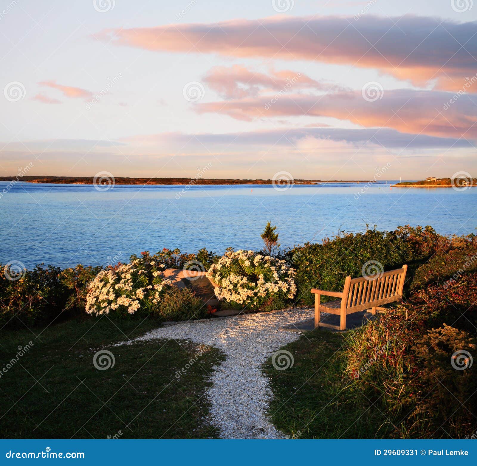 Cape Cod Path Flowers Stock Photos - Free & Royalty-Free Stock Photos ...