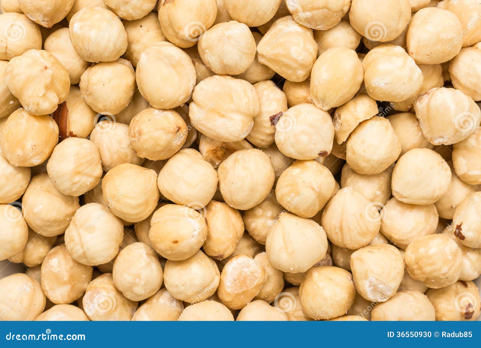 Nocciole fresche fotografia stock. Immagine di sfondo - 36550930