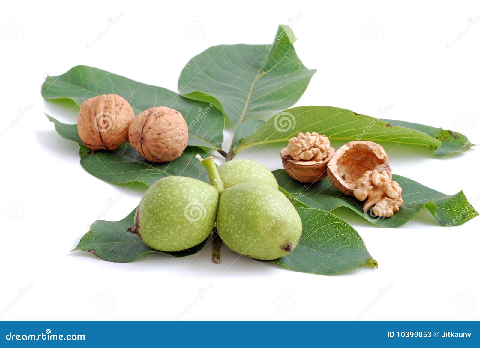 Noce immagine stock. Immagine di marrone, spuntino, secco - 10399053