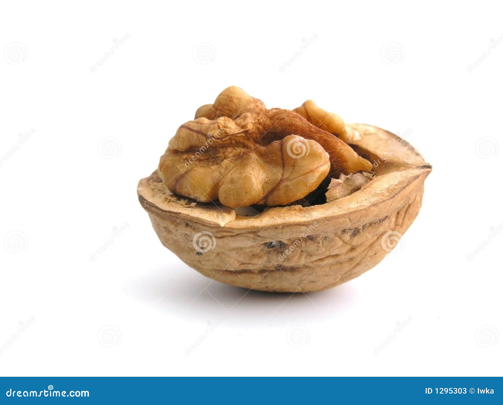 Noce immagine stock. Immagine di naughty, seme, buccia - 1295303