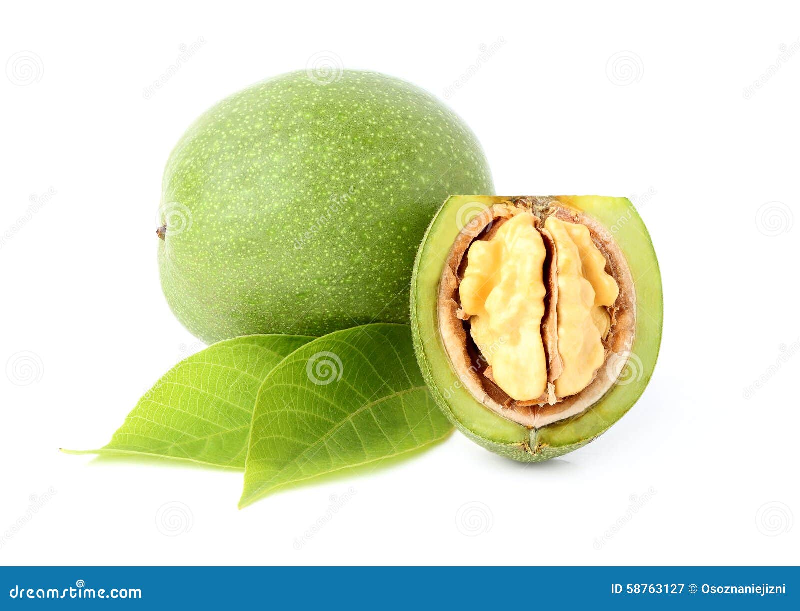 Noce in buccia verde immagine stock. Immagine di secco - 58763127