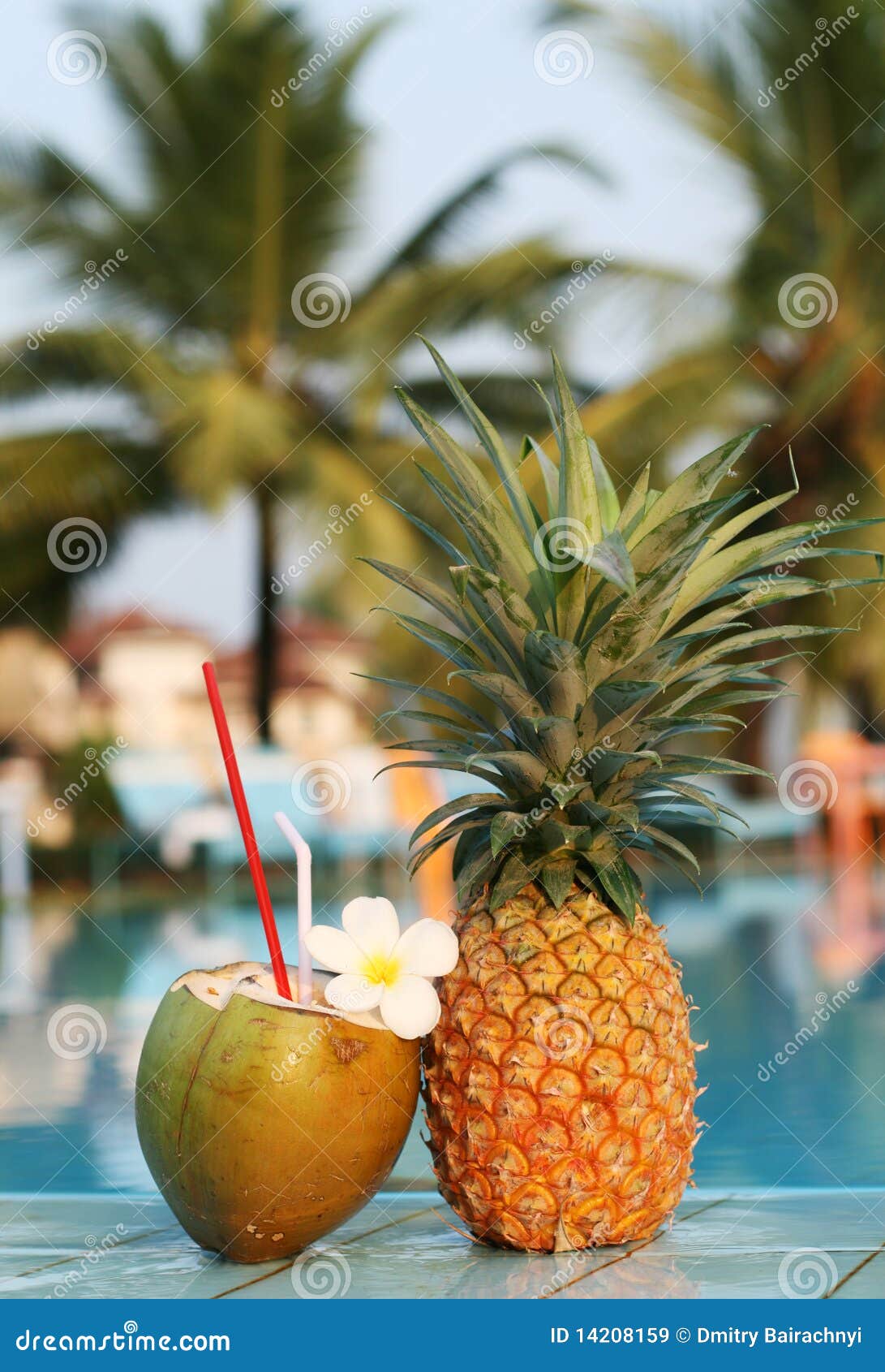 Noce di cocco ed ananas immagine stock. Immagine di paglia - 14208159