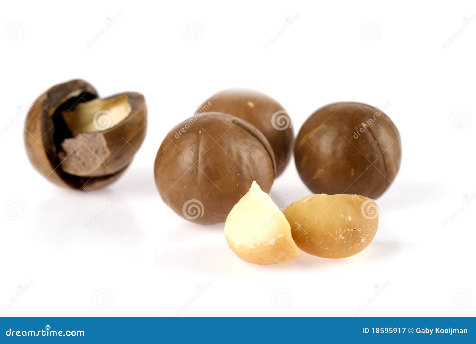 Noce di macadamia immagine stock. Immagine di baccello - 18595917