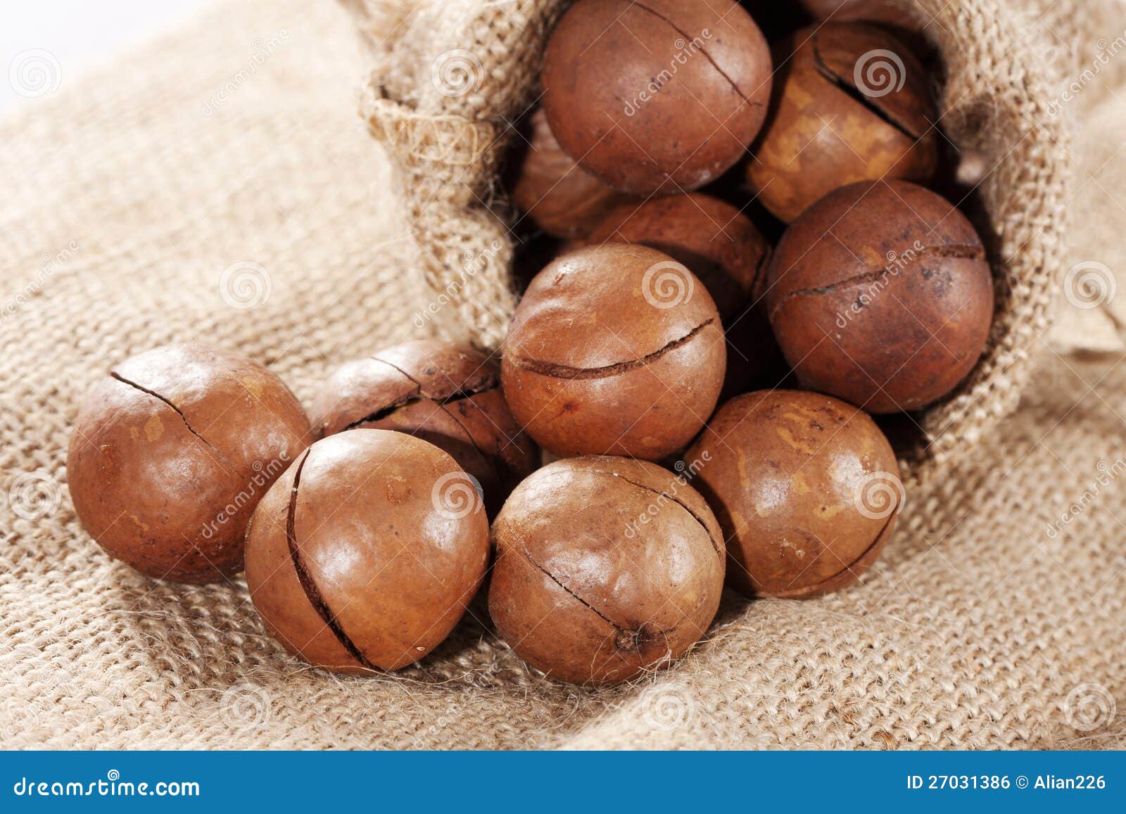 Noce di noce di macadamia fotografia stock. Immagine di spuntino - 27031386