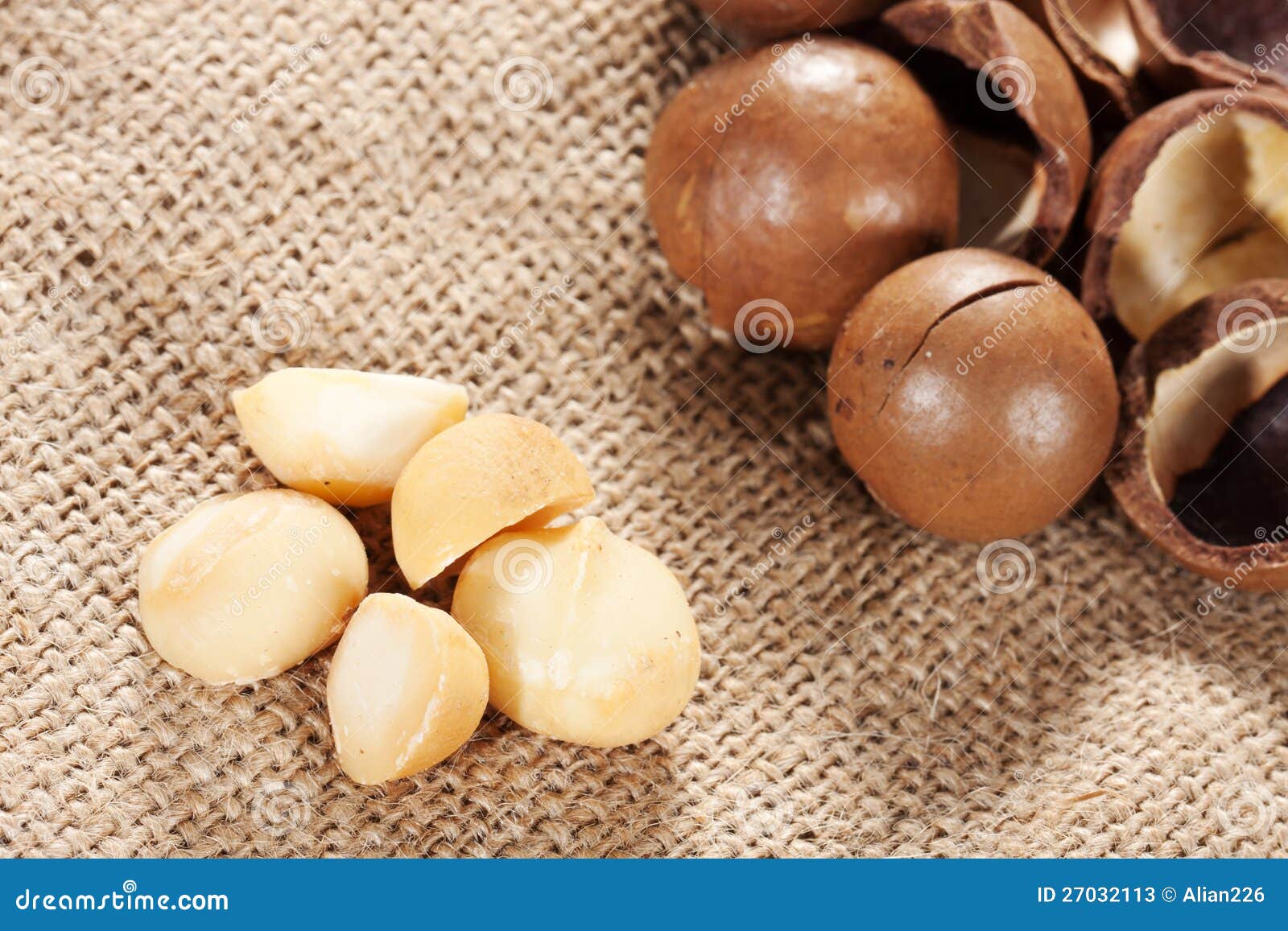 Noce di noce di macadamia immagine stock. Immagine di fresco - 27032113
