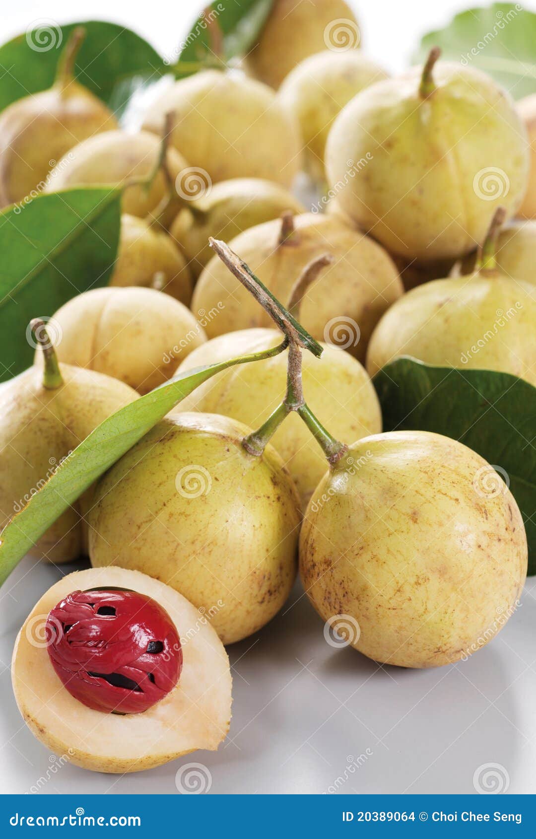 Noce moscata fotografia stock. Immagine di fresco, frutte - 20389064