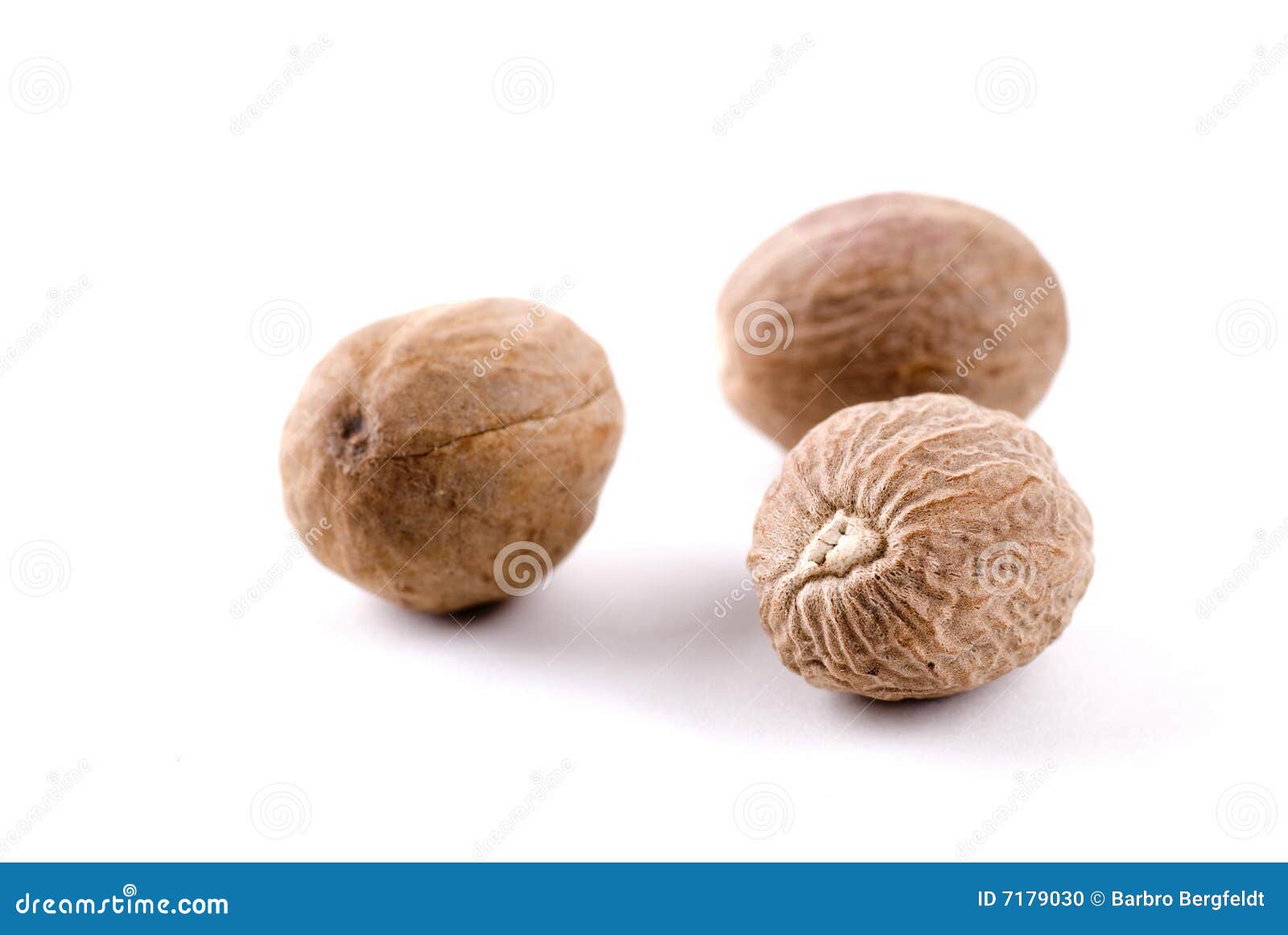 Noce moscata fotografia stock. Immagine di nutmeg, bianco - 7179030