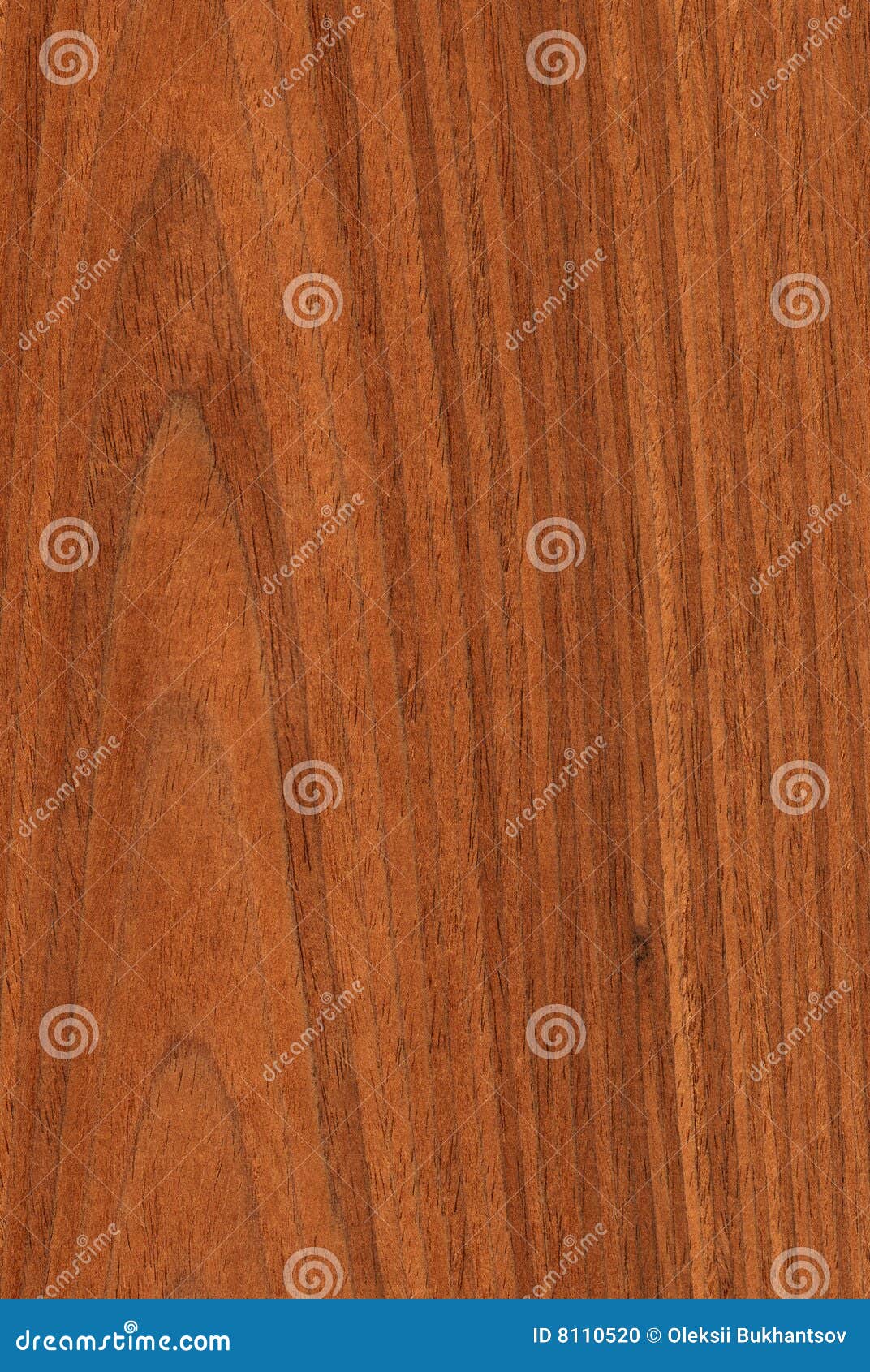 Noce (struttura di legno) fotografia stock. Immagine di comitato - 8110520