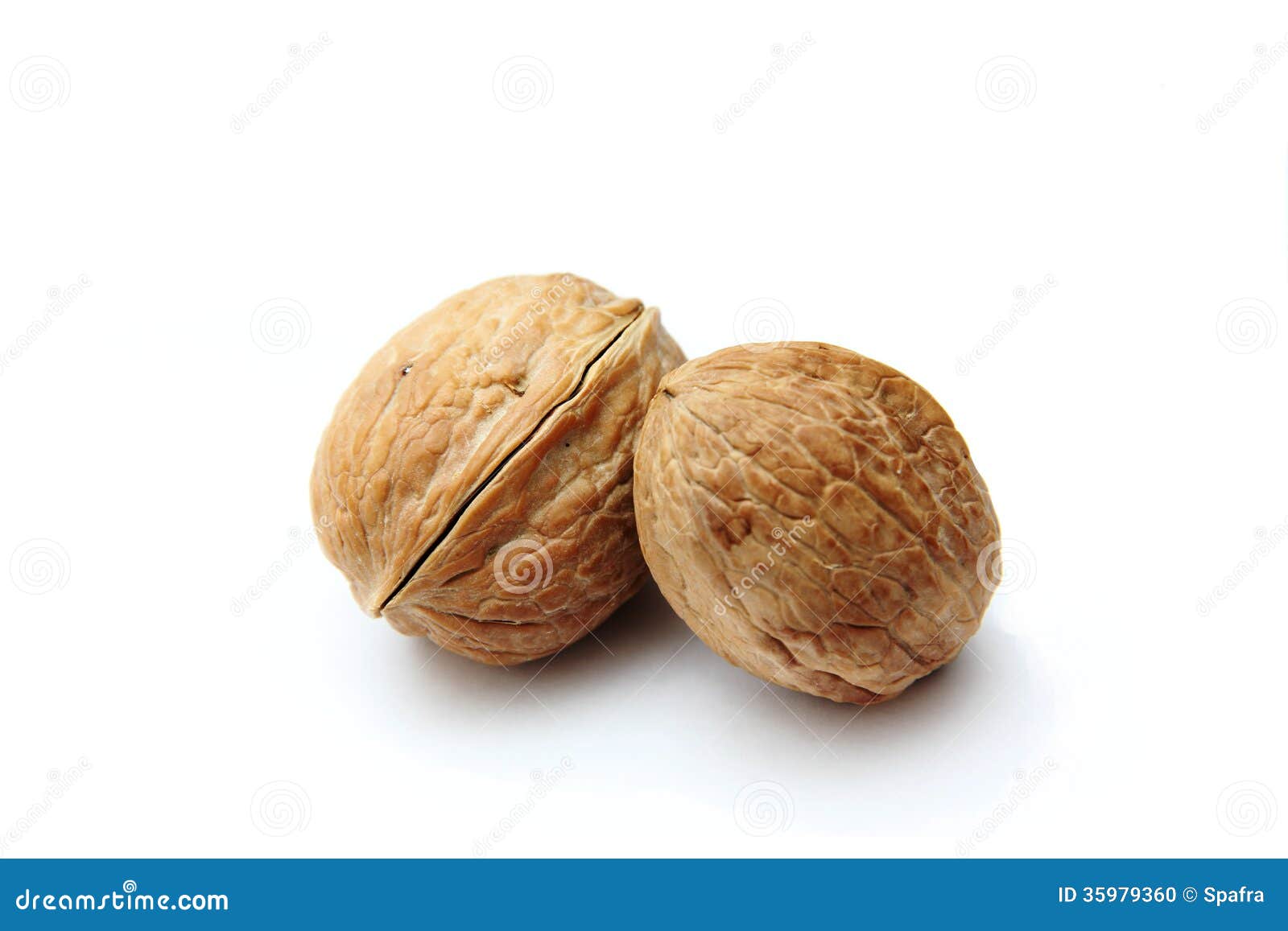 Noce stock photo. Image of canvas, kernel, mature, nutritional - 35979360