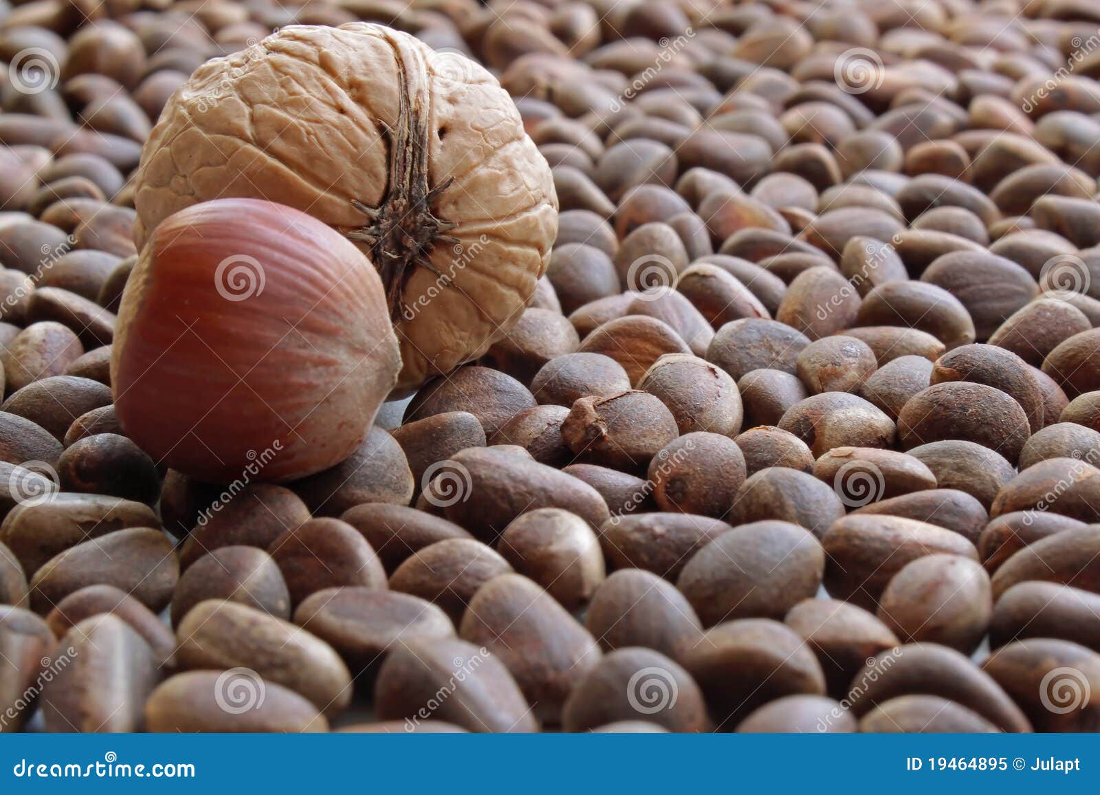 Noci immagine stock. Immagine di bevanda, mucchio, grezzo - 19464895