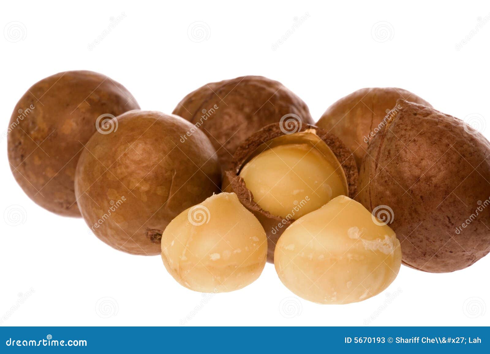Noci di noce di macadamia immagine stock. Immagine di ingrediente - 5670193