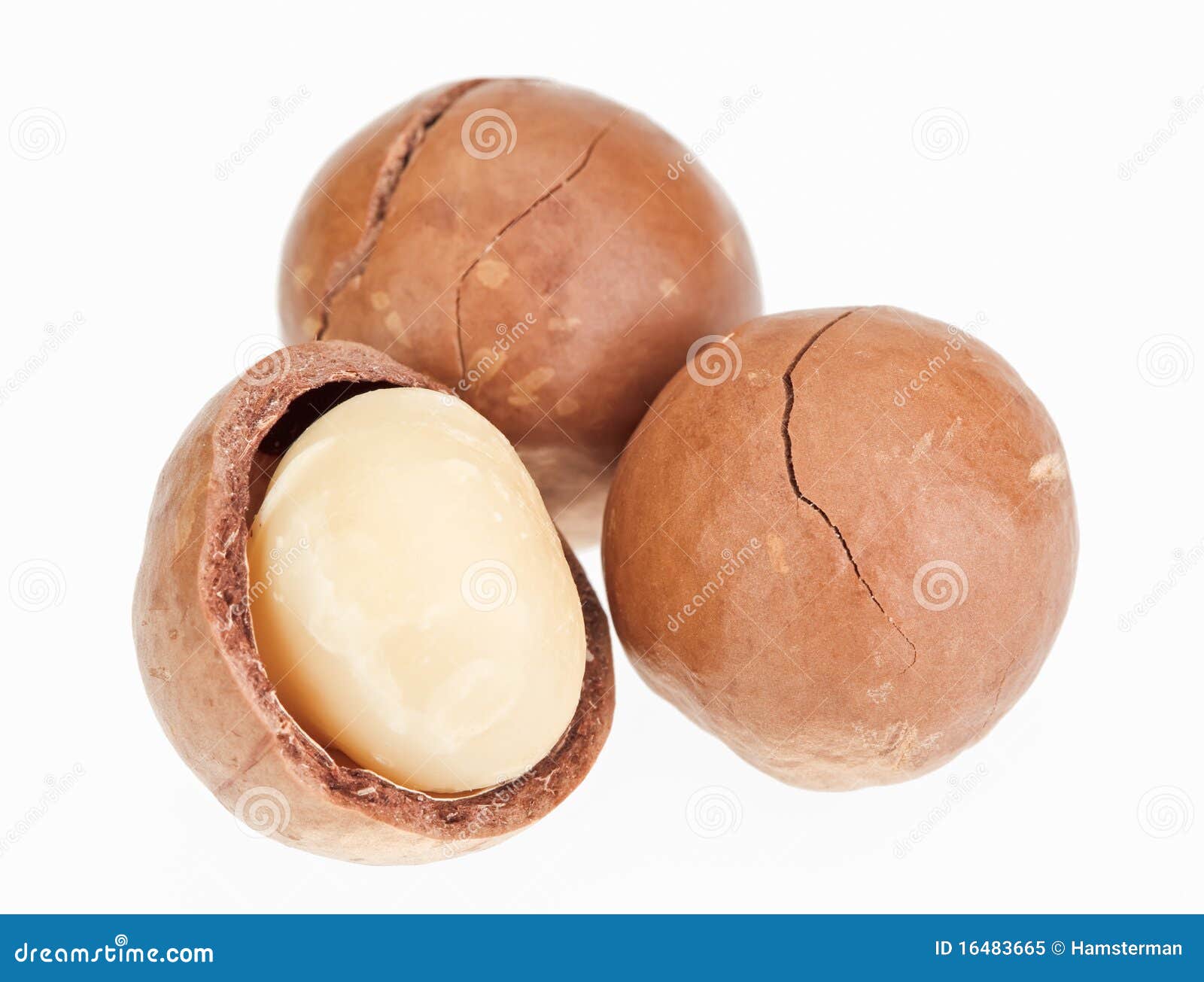 Noci Di Noce Di Macadamia Sgranate E Sgusciate Immagine Stock ...