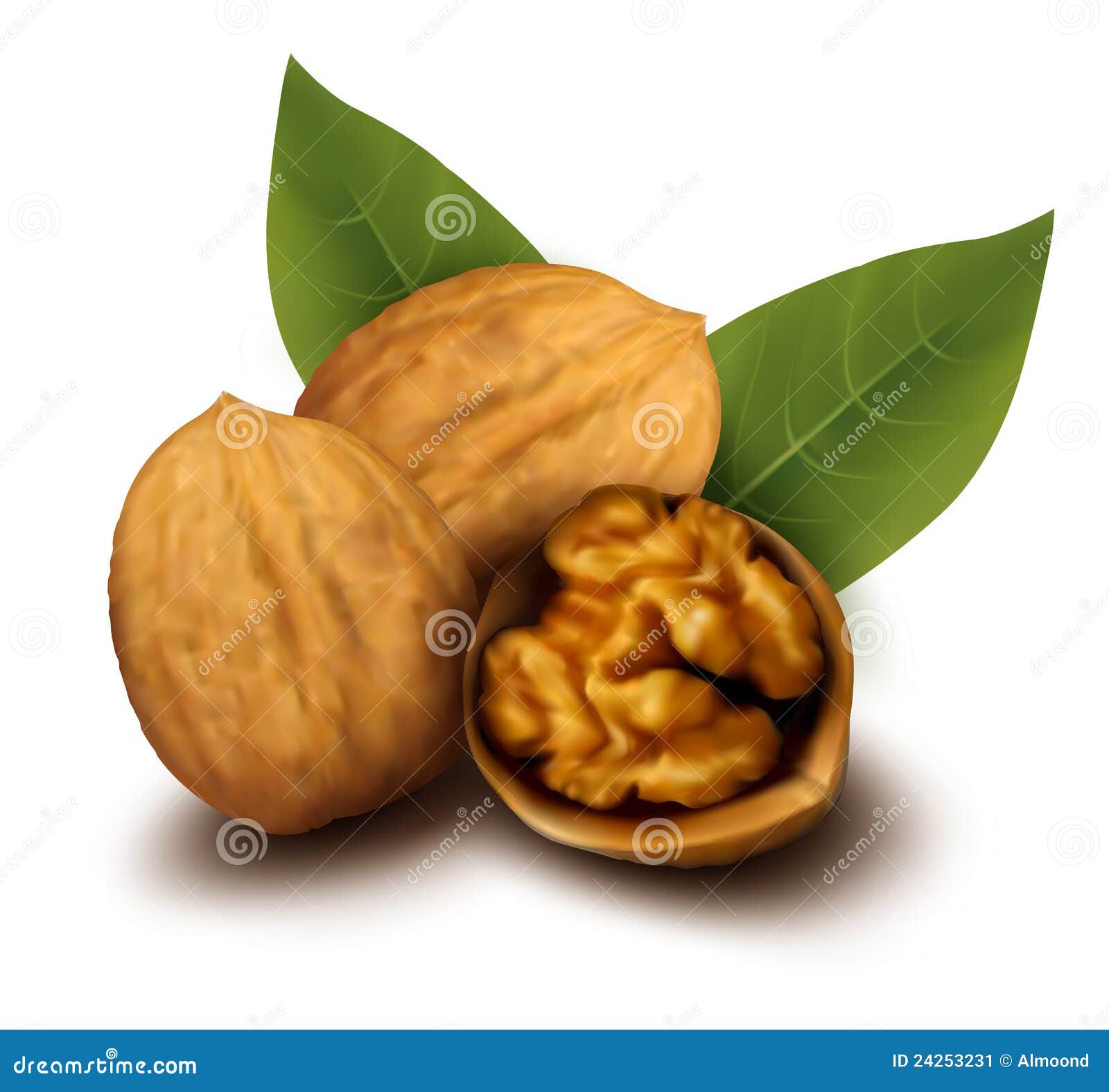 Noci e una noce incrinata illustrazione vettoriale. Illustrazione di ...