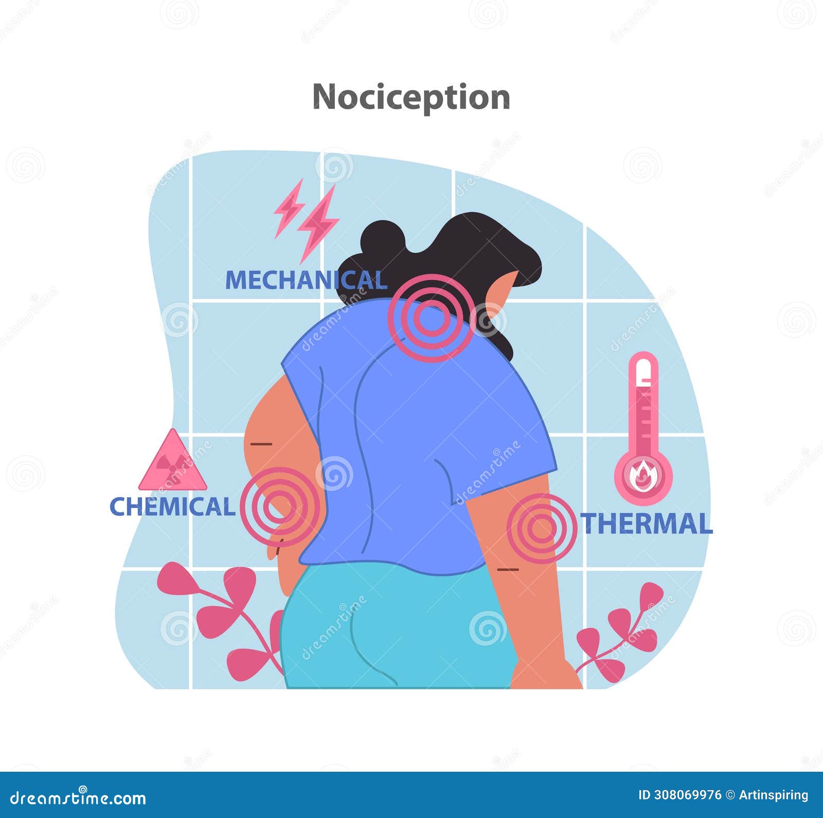 Nociception Illustration. Visualization of the Body S Response To ...