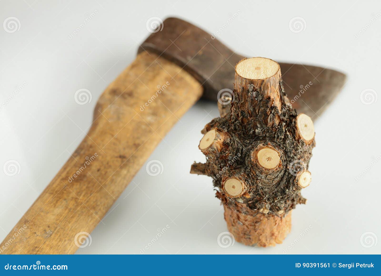 Nodal Part of a Tree Trunk with Cut Branches and an Old Ax on a White ...