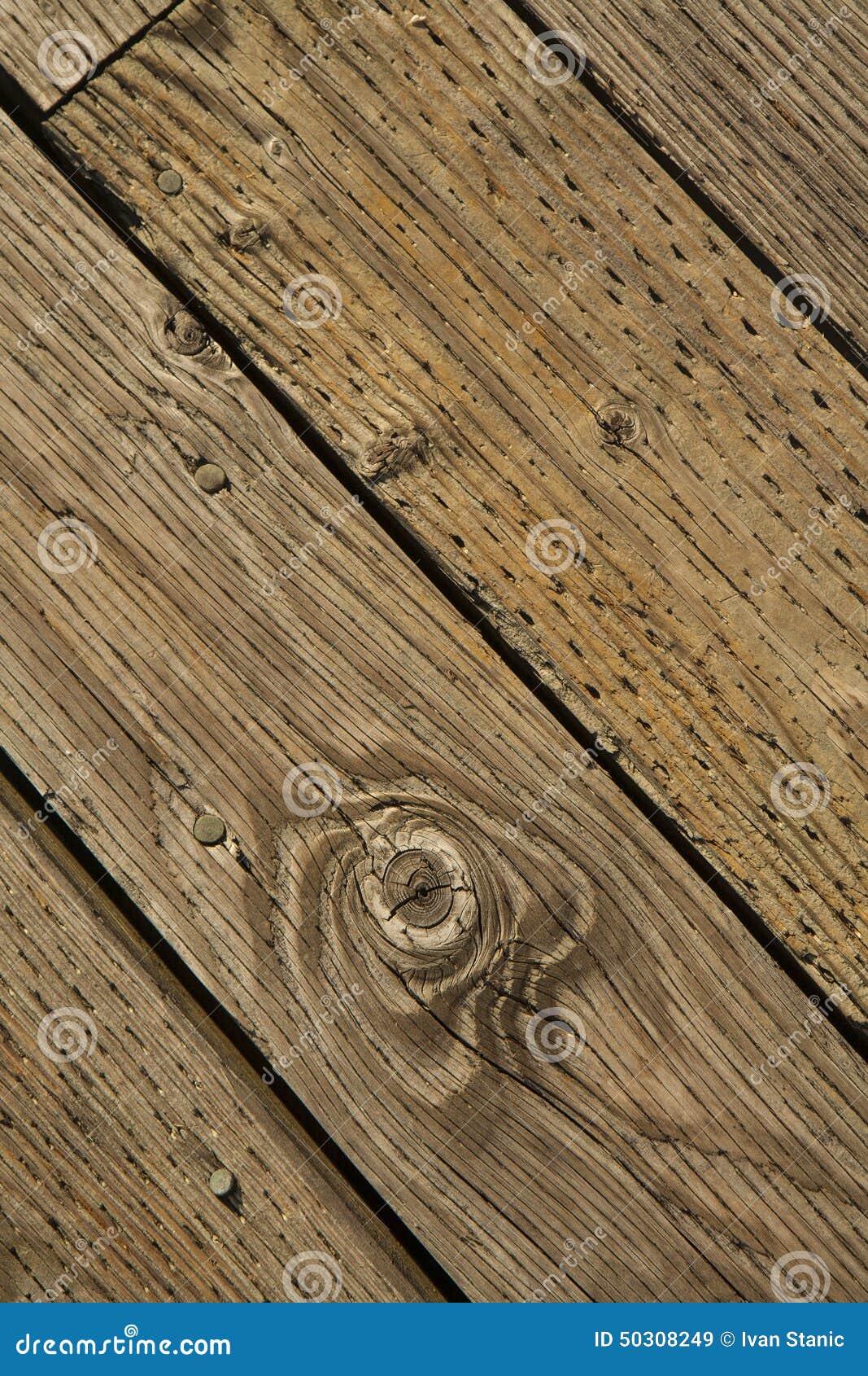 Nodes in the wood stock image. Image of wooden, planks - 50308249