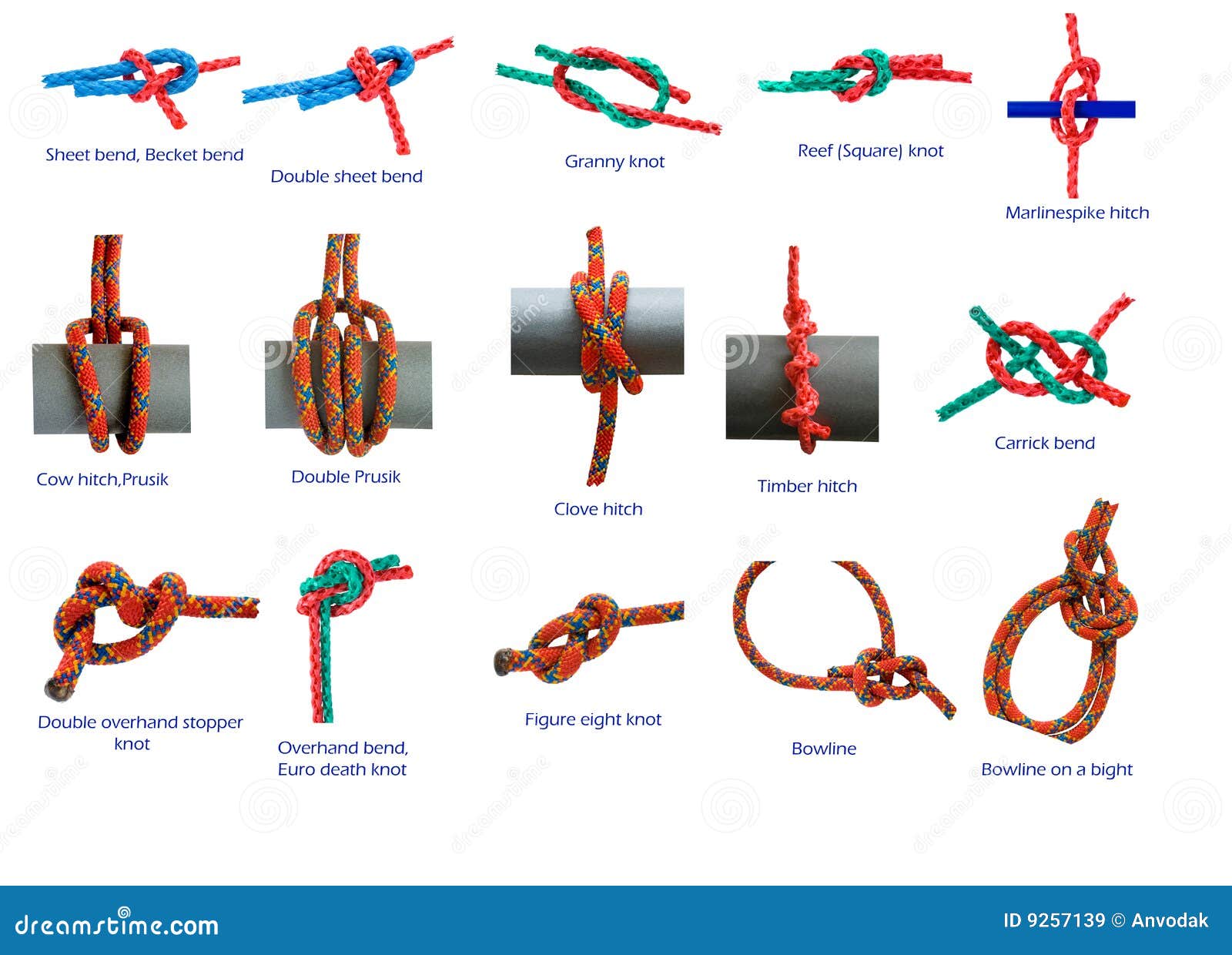 Nodi immagine stock. Immagine di trasporto, sicurezza - 9257139