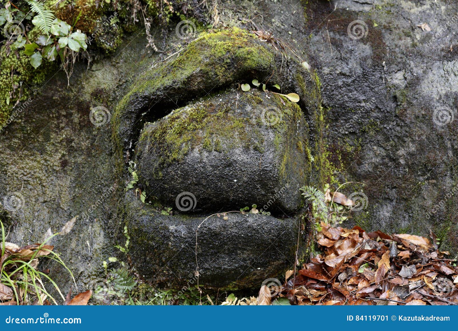 Nodule stock image. Image of grass, sandstone, fossil - 84119701