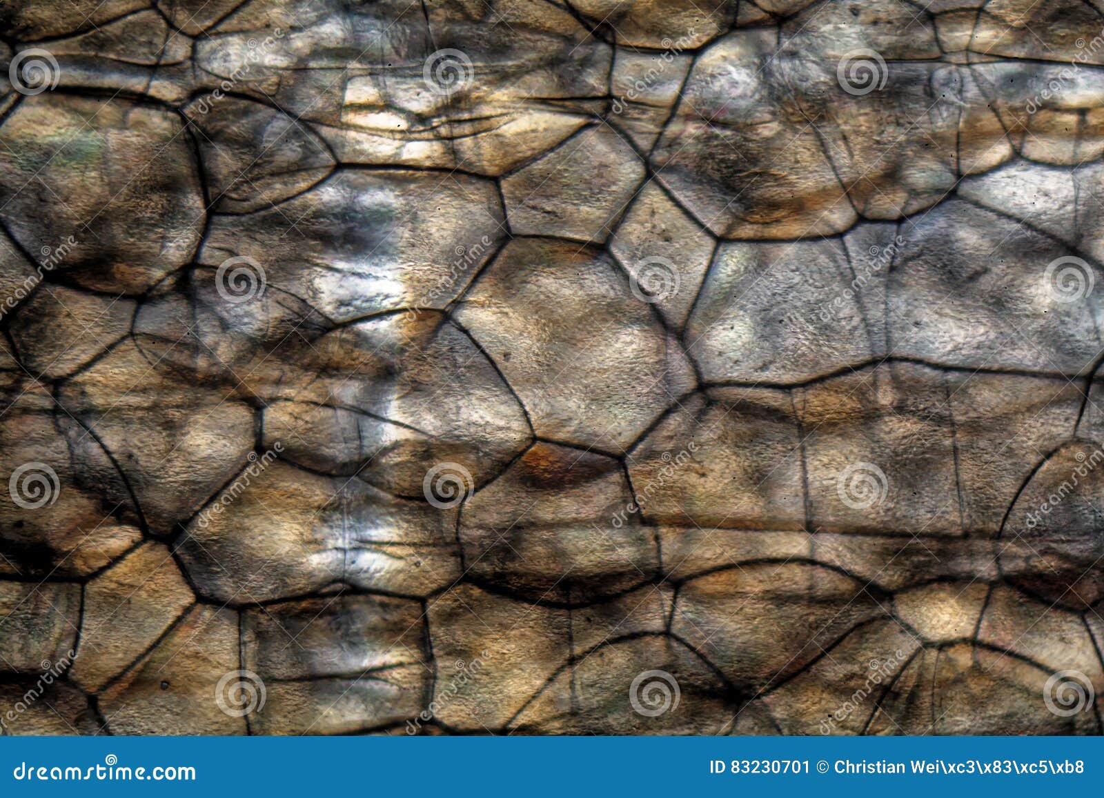 Nodules Of Polystyrene Under The Microscope Royalty-Free Stock Image ...