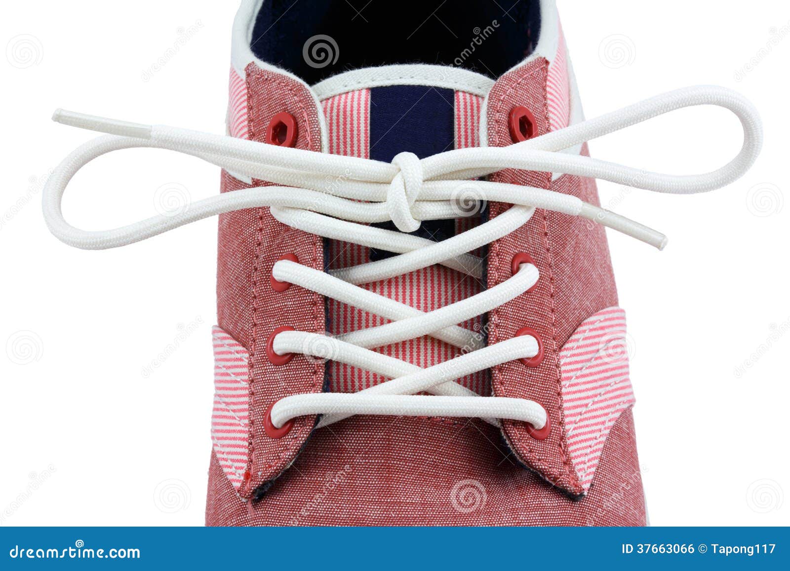 Noeud De Dentelle D'une Chaussure De Toile Photo stock - Image du blanc ...