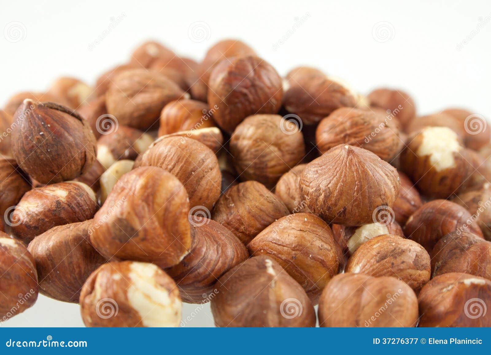 Noisette image stock. Image du studio, brun, ingrédient - 37276377