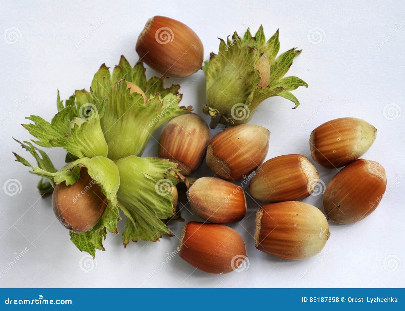 Noisette mûre de fruit photo stock. Image du grain, aveline - 83187358